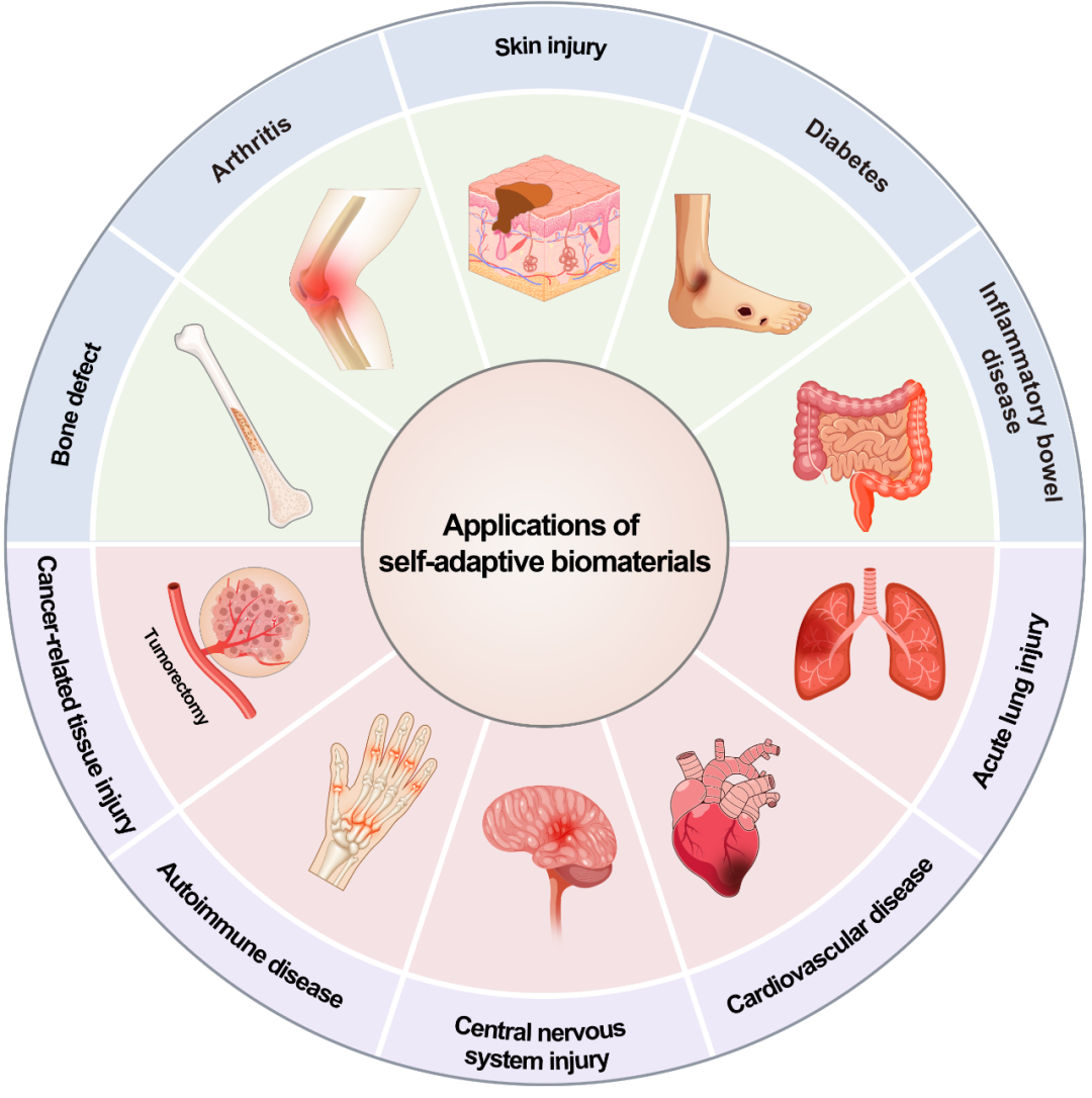 浙江大学高长有教授团队在Progress in Materials Science上发表综述：Self-adaptive ...