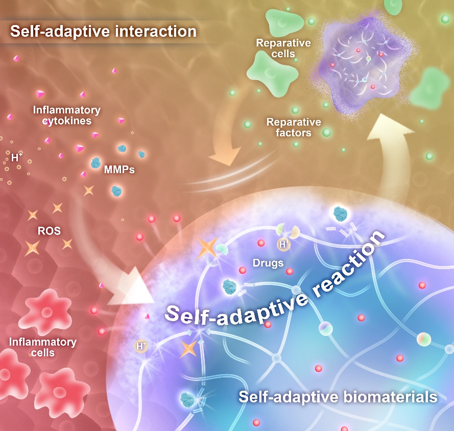 浙江大学高长有教授团队在Progress in Materials Science上发表综述：Self-adaptive ...