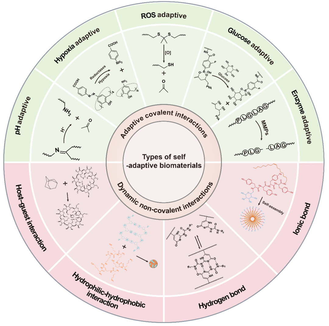 浙江大学高长有教授团队在Progress in Materials Science上发表综述：Self-adaptive ...